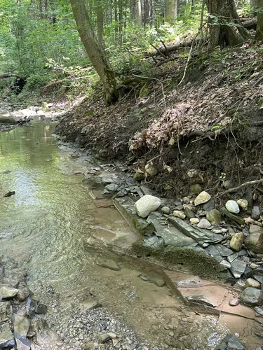 Best Hikes and Trails in Kashong Conservation Area | AllTrails