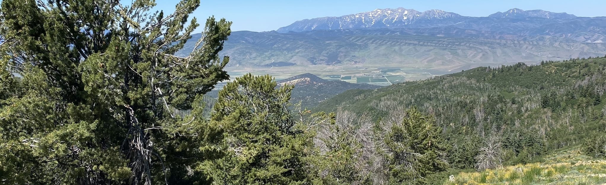 Manti-La Sal Skyline OHV Drive: Route 6 to Route 31, Utah - 20 Reviews ...