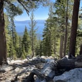 Bayview Trail to Velma Lakes, California - 401 Reviews, Map | AllTrails