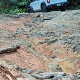 Nimblewill Gap OHV Road, Georgia - 363 Reviews, Map | AllTrails