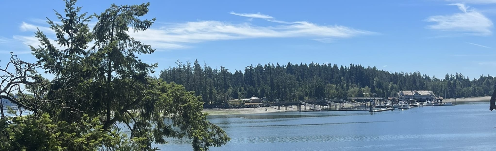 Jacob's Point Loop, Washington - 57 Reviews, Map | AllTrails