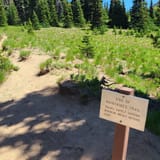 Silver Forest Trail, Washington - 405 Reviews, Map | AllTrails