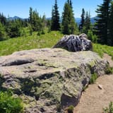 Silver Forest Trail, Washington - 405 Reviews, Map | AllTrails