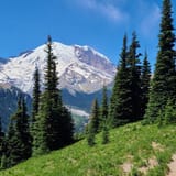 Silver Forest Trail, Washington - 405 Reviews, Map | AllTrails