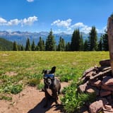 Commando Run, Colorado - 12 Reviews, Map | AllTrails