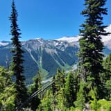 Silver Forest Trail, Washington - 405 Reviews, Map | AllTrails
