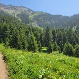 Truman Gulch Trail, Montana - 382 Reviews, Map | AllTrails