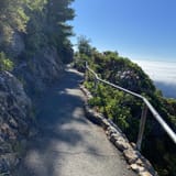 Verna Dunshee Loop, California - 266 Reviews, Map | AllTrails