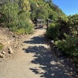 Verna Dunshee Loop, California - 266 Reviews, Map | AllTrails