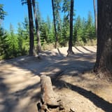 Tahuya Lookout OHV Loop , Washington - 122 Reviews, Map | AllTrails