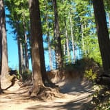 Tahuya Lookout OHV Loop , Washington - 122 Reviews, Map | AllTrails