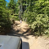 Tahuya Lookout OHV Loop , Washington - 122 Reviews, Map | AllTrails