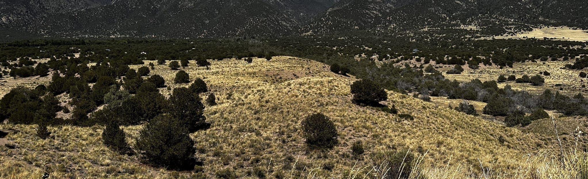 Crestone Ziggurat: 44 fotos - Colorado | AllTrails