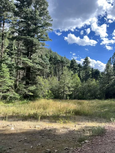 10 Best Hikes and Trails in Santa Fe National Forest | AllTrails