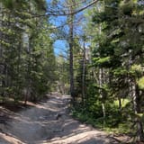 Bunce School Road, Ironclads, and Plane Crash OHV Trails, Colorado ...