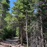 Bunce School Road, Ironclads, and Plane Crash OHV Trails, Colorado ...