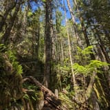 Index Town Wall Trail, Washington - 740 Reviews, Map | AllTrails