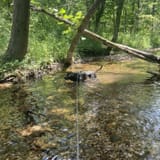 Kaintuck Trail: Oak Leaf Section, Missouri - 154 Reviews, Map | AllTrails