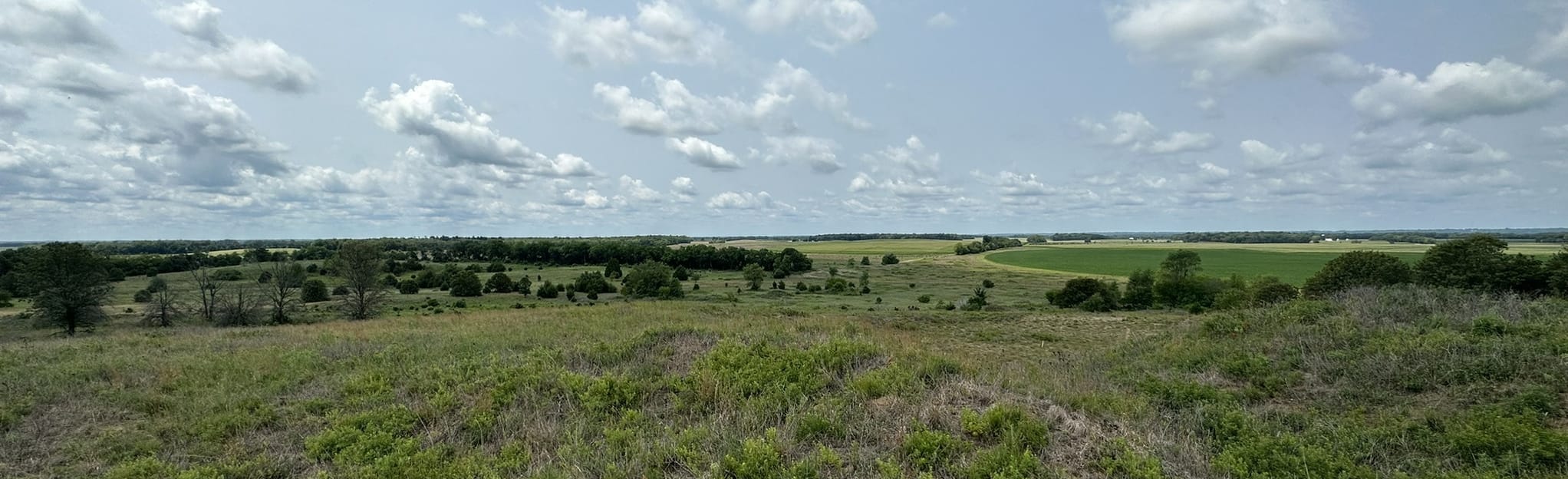 Henry Allan Gleason Nature Preserve: 7 Reviews, Map - Illinois | AllTrails