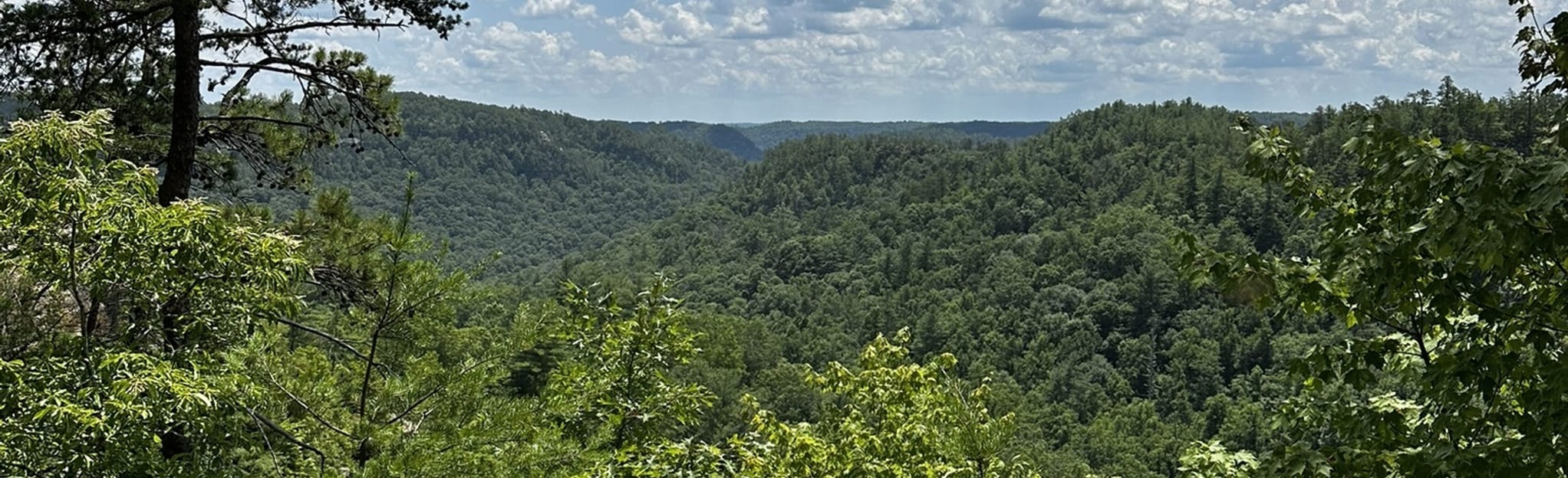 Indian Staircase Trail, Kentucky - 1,449 Reviews, Map | AllTrails