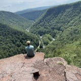 Tioga West Rim Trail, Pennsylvania - 531 Reviews, Map | AllTrails