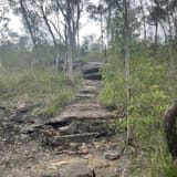 Kirrawee Bushwalk, New South Wales, Australia - 136 Reviews, Map ...