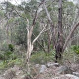 Kirrawee Bushwalk, New South Wales, Australia - 136 Reviews, Map ...
