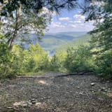 Tioga West Rim Trail, Pennsylvania - 531 Reviews, Map | AllTrails