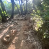 Foresthill Divide Loop, California - 1,031 Reviews, Map | AllTrails