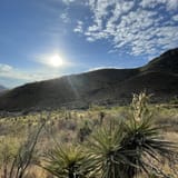 South Franklin Mountain via Ron Coleman Trail, Texas - 176 Reviews, Map ...