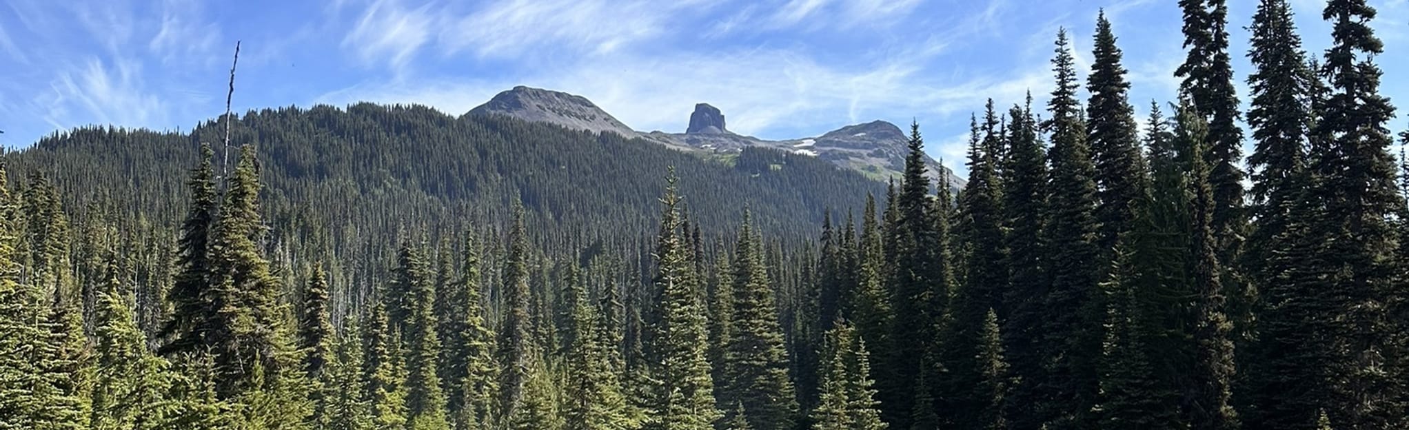 Taylor Meadows, British Columbia, Canada - 414 Reviews, Map | AllTrails
