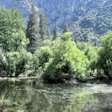 Valley Loop Trail, California - 560 Reviews, Map | AllTrails