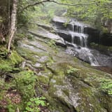 Grafton Loop Trail, Maine - 80 Reviews, Map | AllTrails