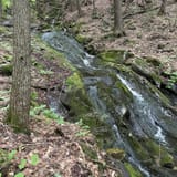 Grafton Loop Trail, Maine - 80 Reviews, Map | AllTrails