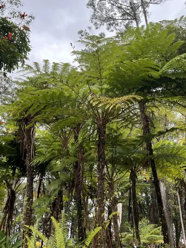 Best Hikes and Trails in Pua'a Ka'a State Park | AllTrails