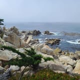 Pebble Beach Cruise, California - 395 Reviews, Map | AllTrails