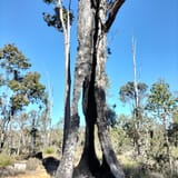 Mount Cooke Loop, Western Australia, Australia - 496 Reviews, Map ...
