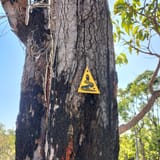 Mount Cooke Loop, Western Australia, Australia - 496 Reviews, Map ...