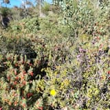 Mount Cooke Loop, Western Australia, Australia - 496 Reviews, Map ...