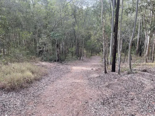 Best Walking Trails in Kobble Creek | AllTrails