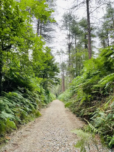 2023 Best Walking Trails in Raven Point Nature Reserve | AllTrails