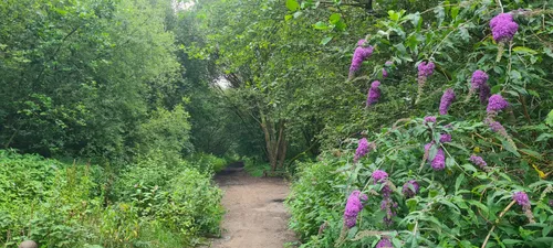 Best Hikes and Trails in Outwood Country Park | AllTrails