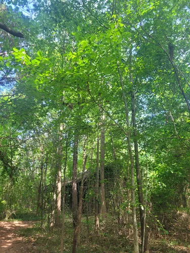 Best Hikes and Trails in Mazeppa Park | AllTrails