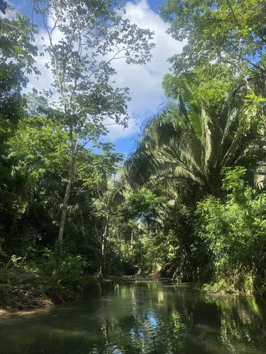 10 Best Trails and Hikes in Belize | AllTrails