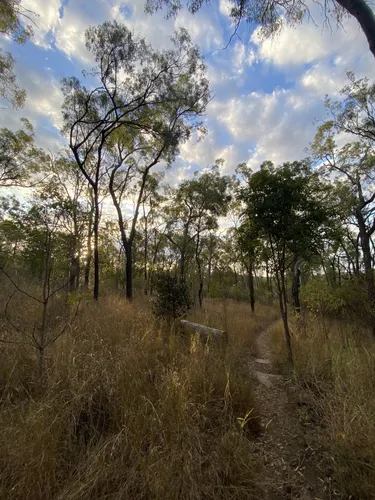 Best Hikes and Trails in Mount Walsh National Park | AllTrails