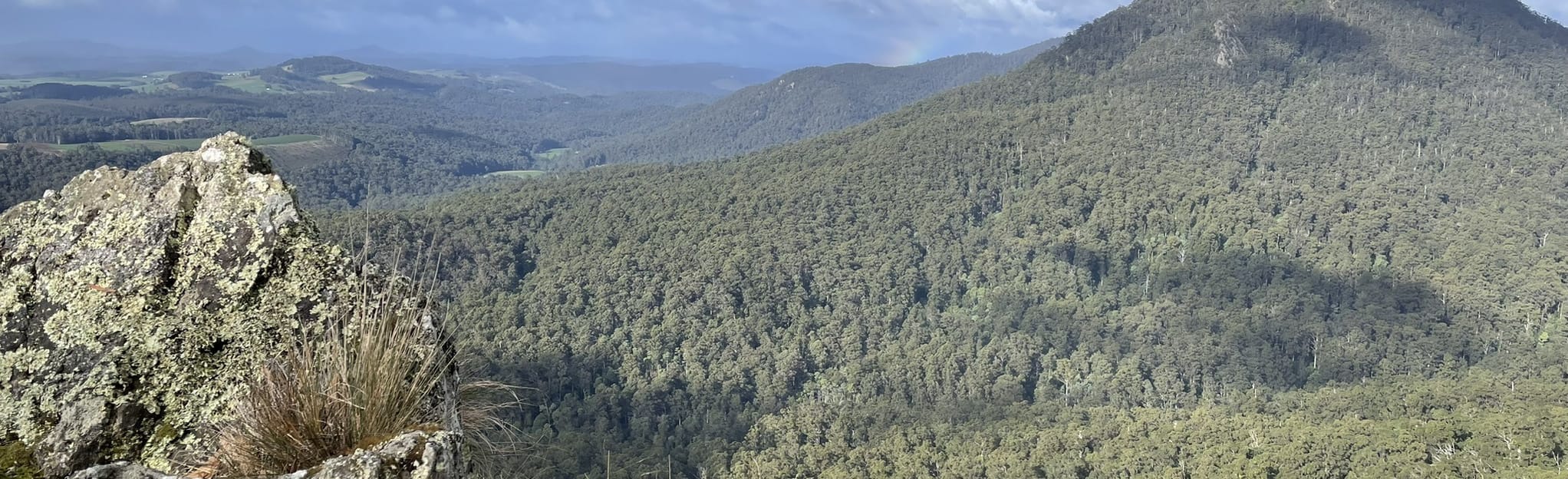 Penguin Cradle Trail, Tasmania, Australia - 4 Reviews, Map | AllTrails