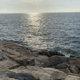 Black Point Trail, Rhode Island - 684 Reviews, Map | AllTrails
