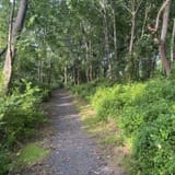 Black Point Trail, Rhode Island - 684 Reviews, Map | AllTrails