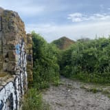 Black Point Trail, Rhode Island - 684 Reviews, Map | AllTrails