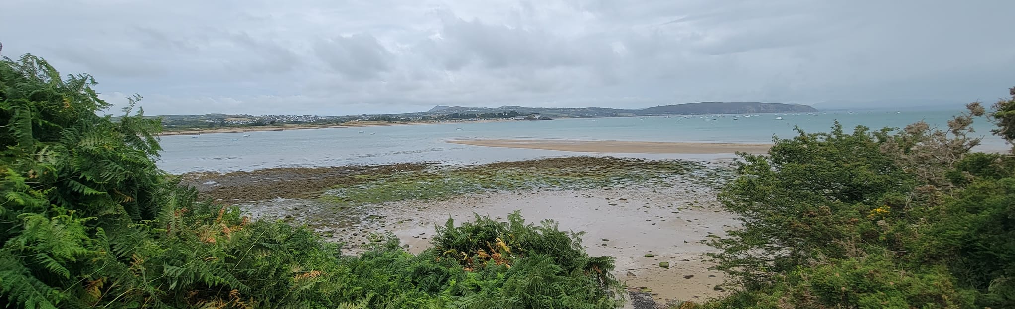 Abersoch Extended Circular: 51 Reviews, Map - Gwynedd, Wales | AllTrails